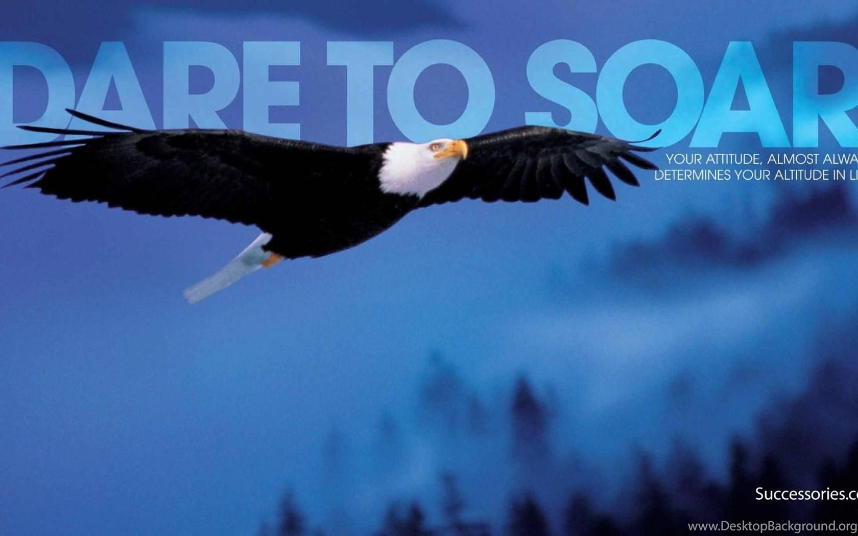 Soar Wallpapers - Top Free Soar Backgrounds - WallpaperAccess