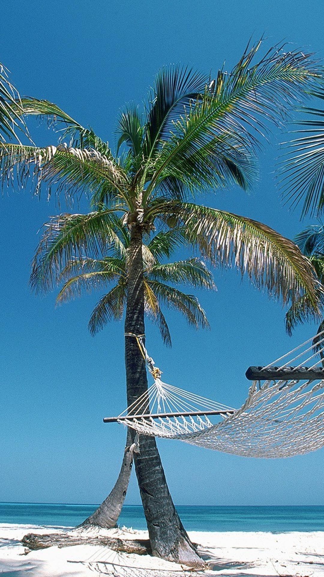 Belize Beach Wallpapers - Top Free Belize Beach Backgrounds ...