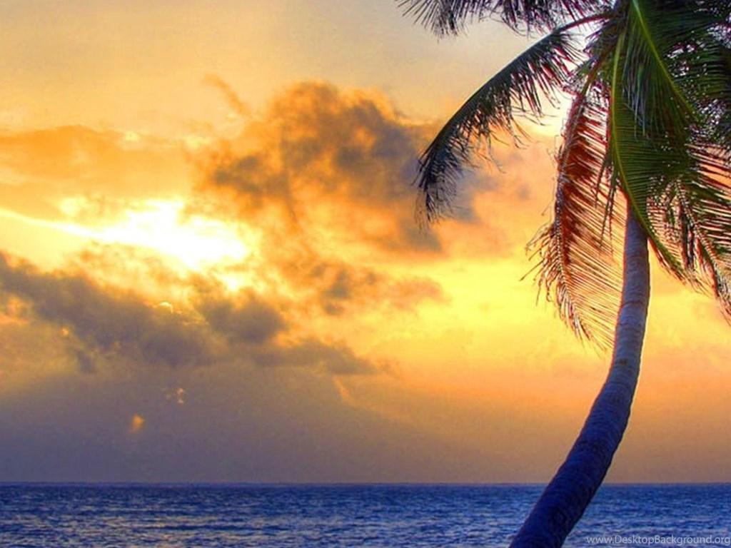 Belize Beach Wallpapers - Top Free Belize Beach Backgrounds ...