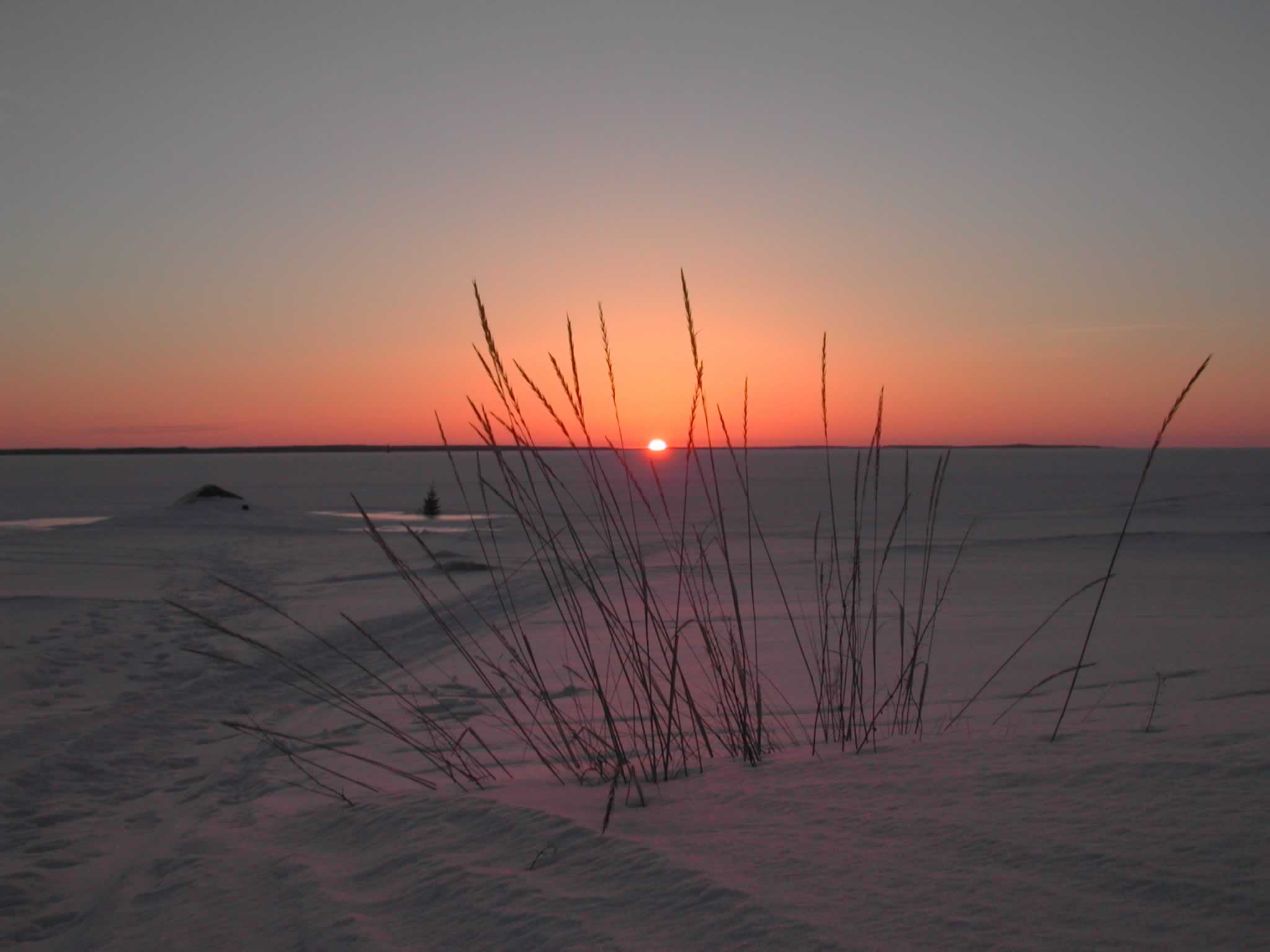 Arctic Sunset Wallpapers - Top Free Arctic Sunset Backgrounds ...