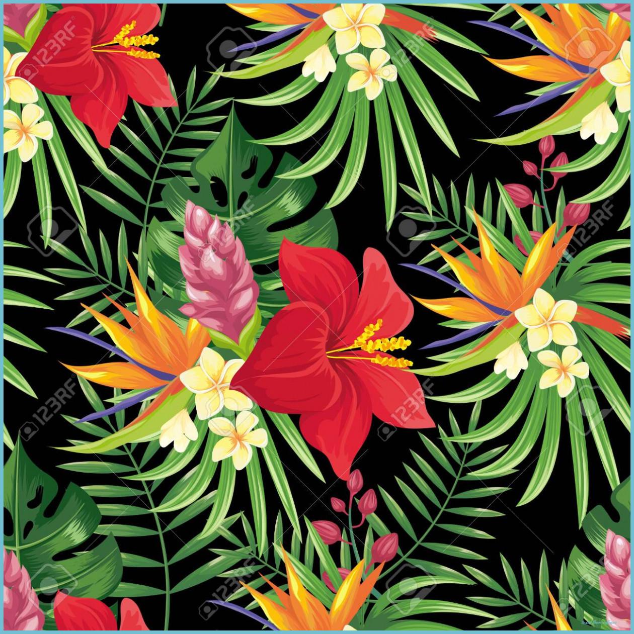 Red Hawaiian Print Wallpapers - Top Free Red Hawaiian Print Backgrounds ...