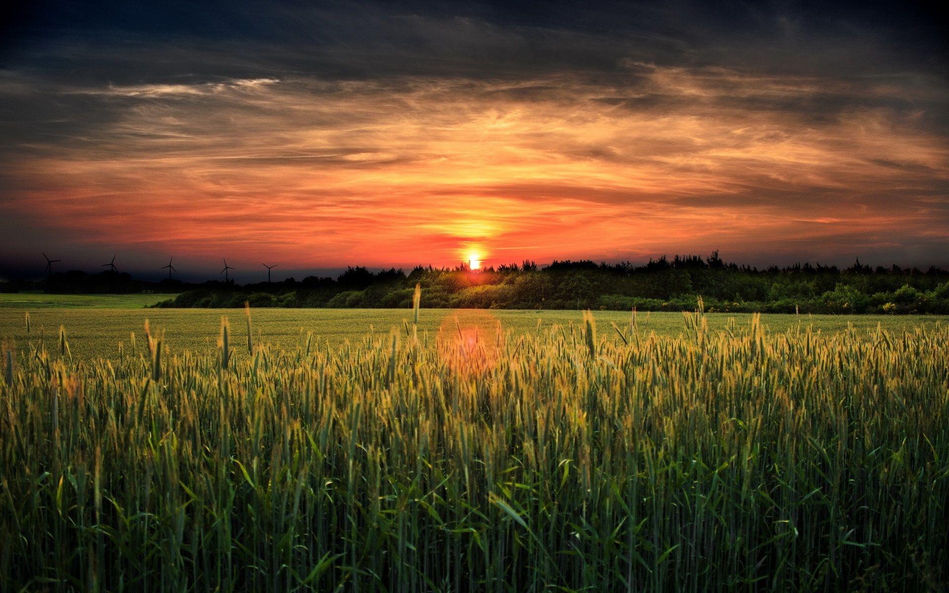 Sunrise Field Wallpapers - Top Free Sunrise Field Backgrounds ...