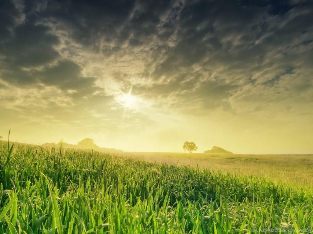 Sunrise Field Wallpapers - Top Free Sunrise Field Backgrounds ...