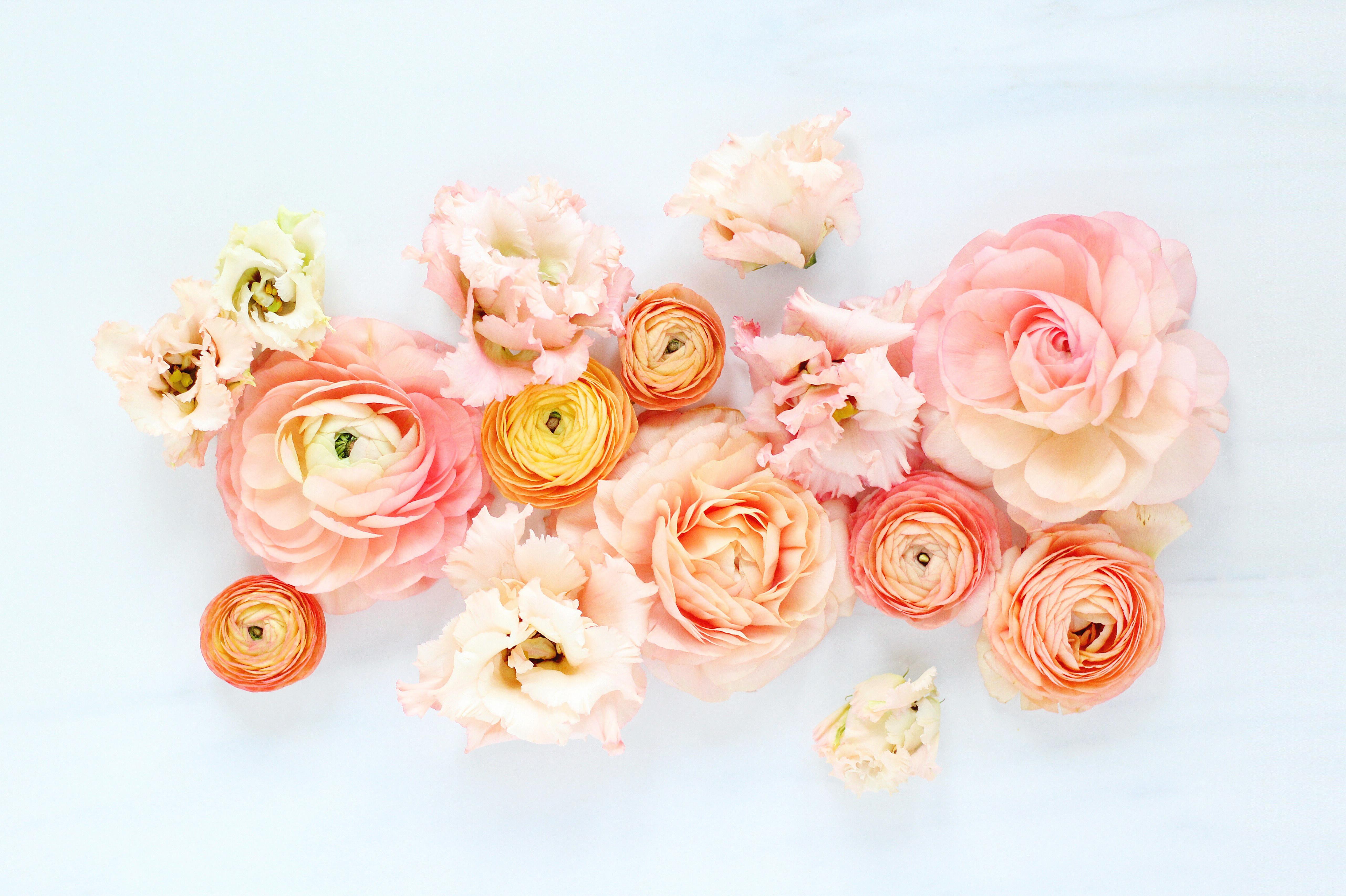 Neutral Floral Desktop Wallpapers - Top Free Neutral Floral Desktop ...