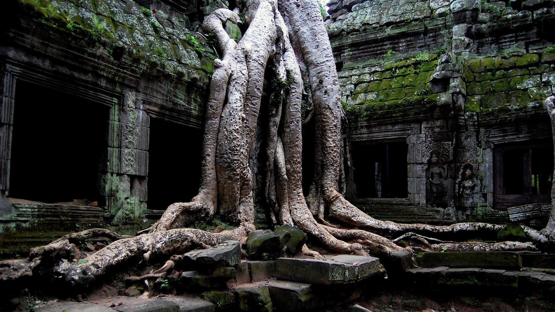 Buddhist Temple Wallpapers - Top Free Buddhist Temple Backgrounds ...