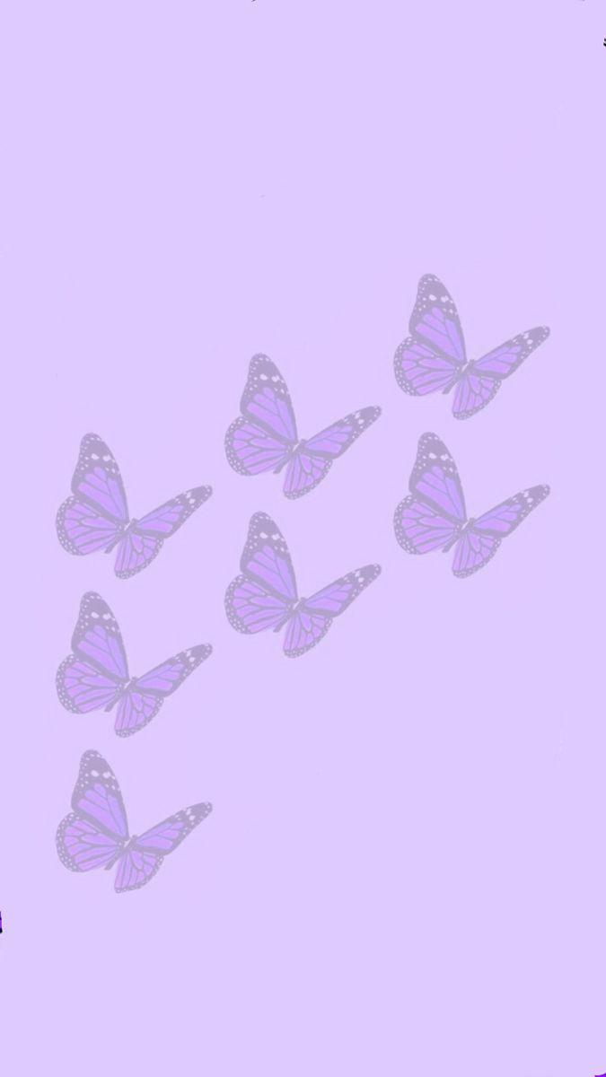 Light Purple Phone Wallpapers - Top Free Light Purple Phone Backgrounds ...