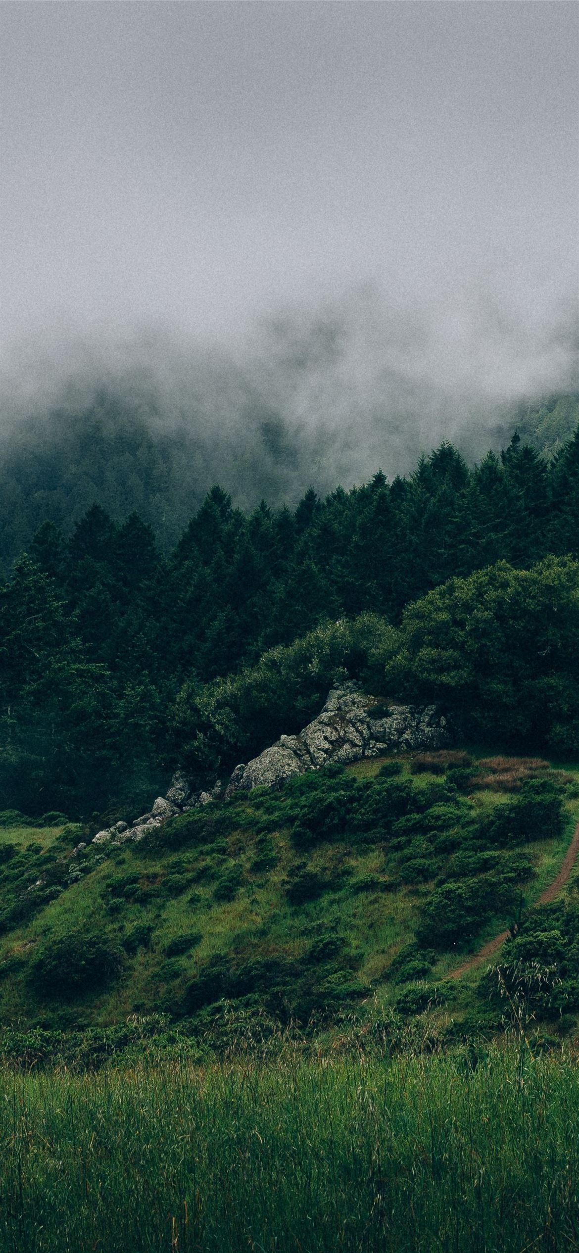 Amazon iPhone Wallpapers - Top Free Amazon iPhone Backgrounds ...