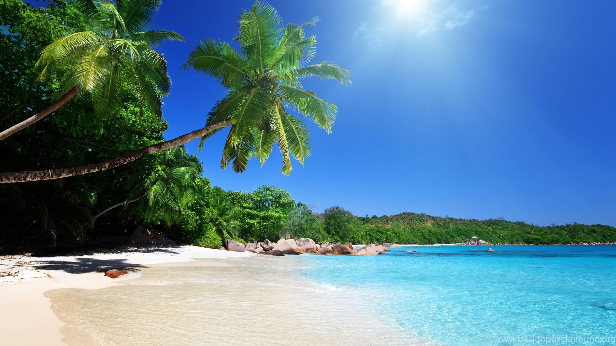 Sunny Beaches Wallpapers - Top Free Sunny Beaches Backgrounds ...