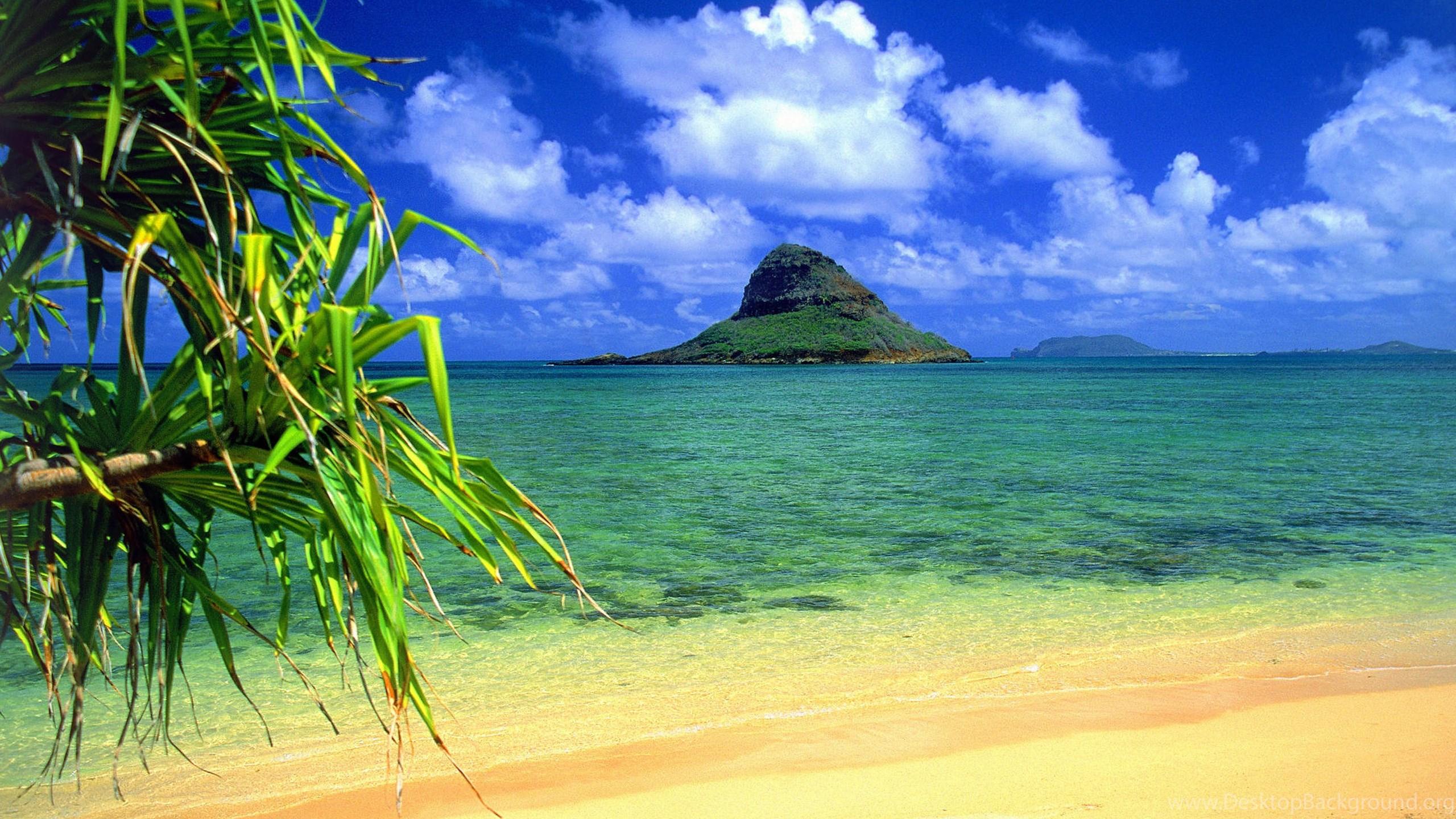 Cartoon Hawaii Wallpapers - Top Free Cartoon Hawaii Backgrounds ...