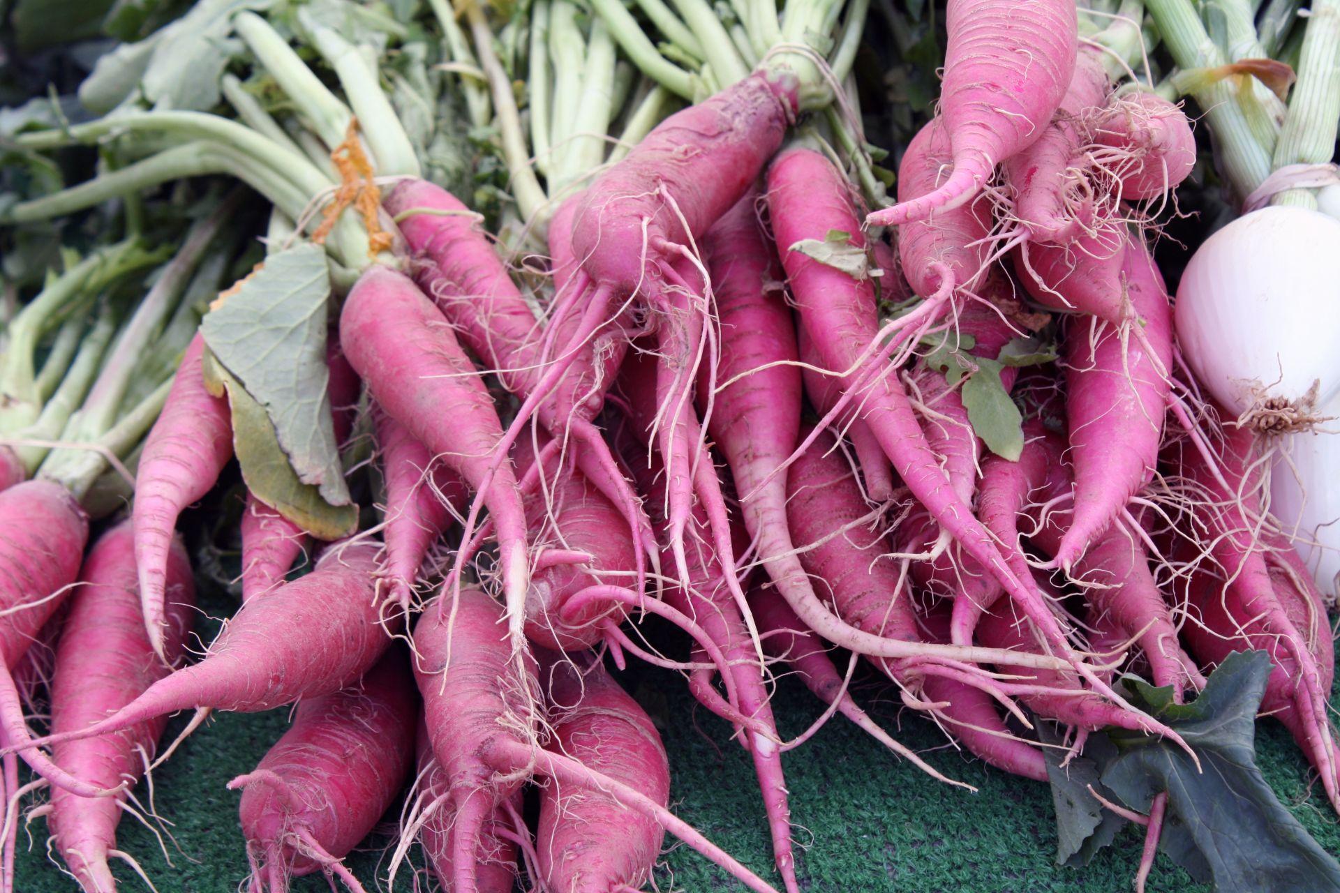 Radish Wallpapers - Top Free Radish Backgrounds - WallpaperAccess