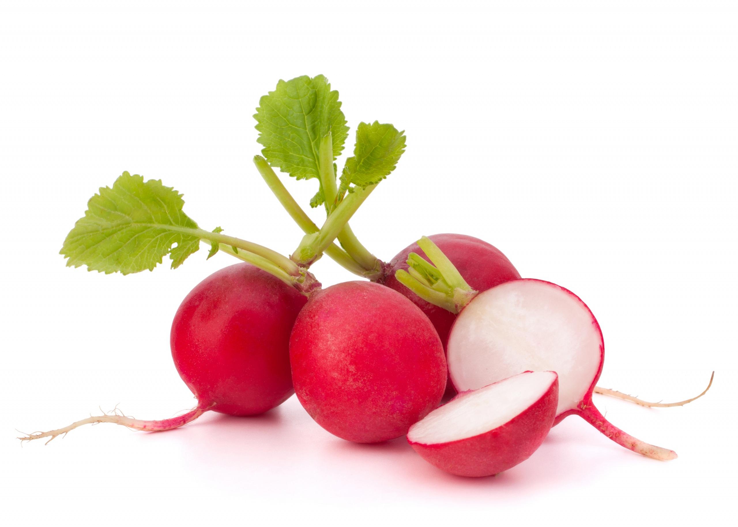 Radish Wallpapers - Top Free Radish Backgrounds - WallpaperAccess
