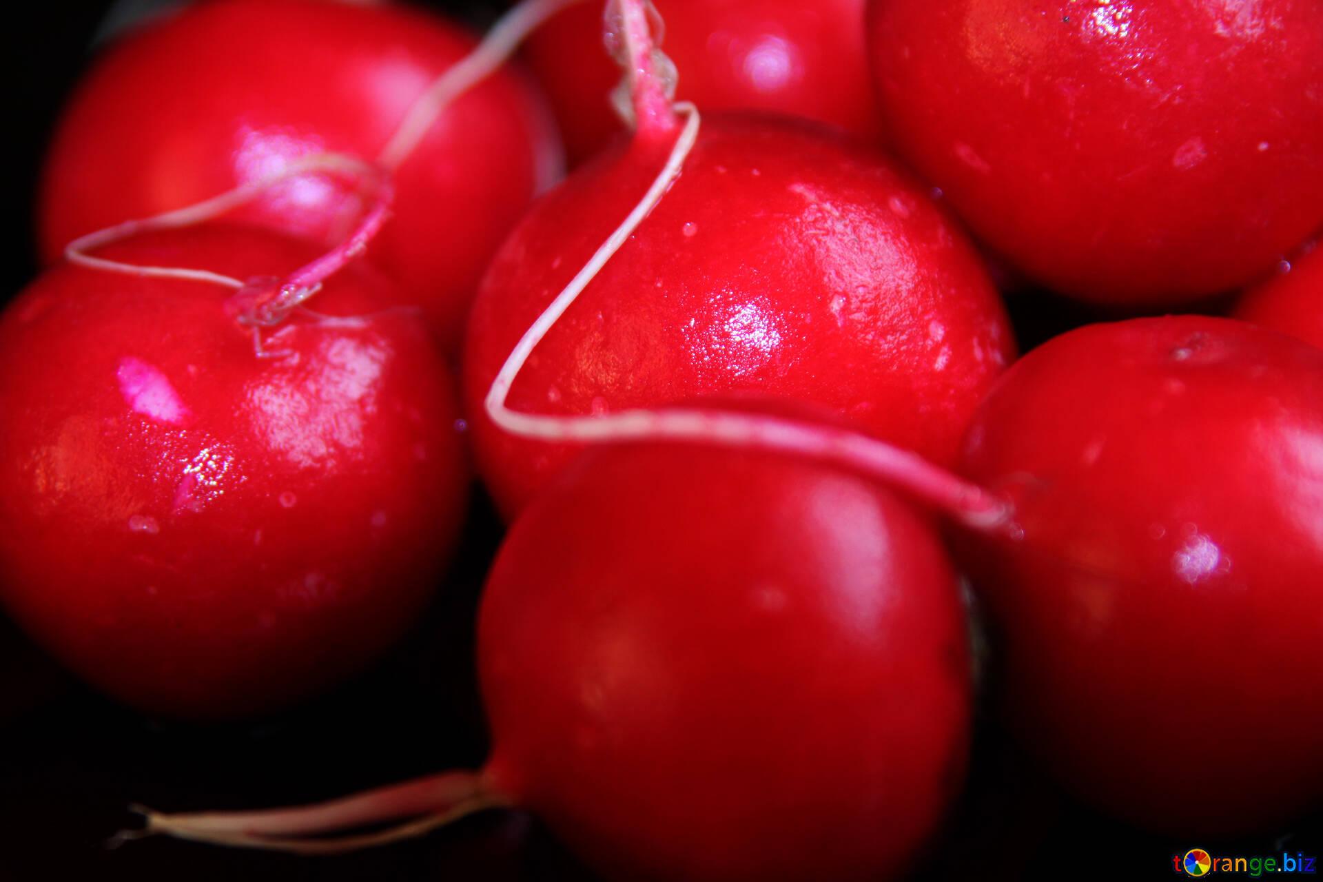 Radish Wallpapers - Top Free Radish Backgrounds - WallpaperAccess