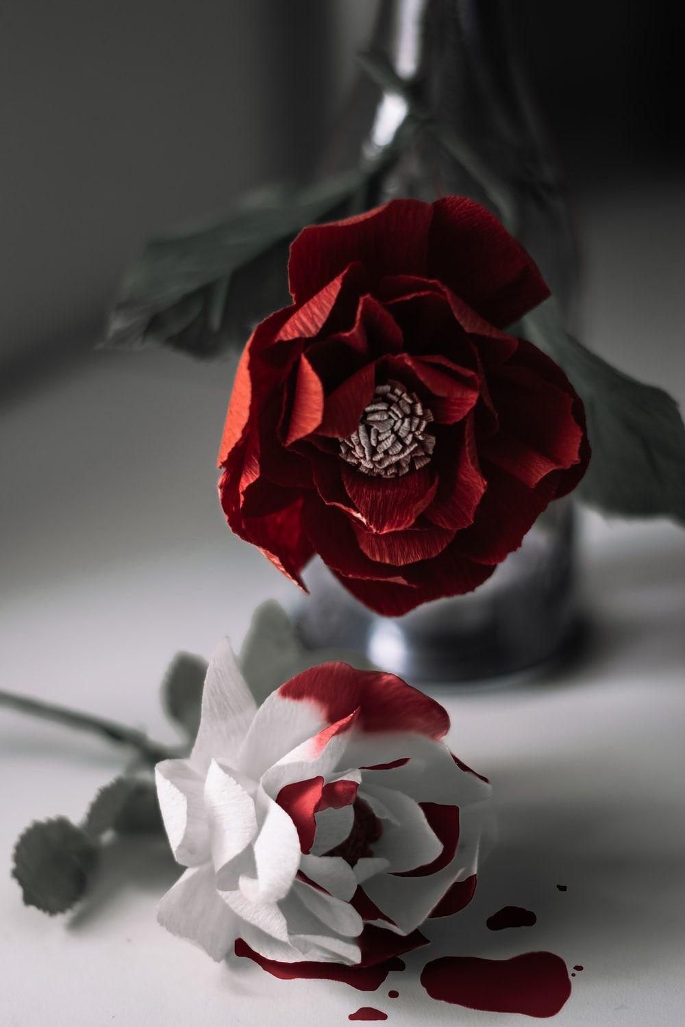 Bloody Flower Wallpapers - Top Free Bloody Flower Backgrounds ...