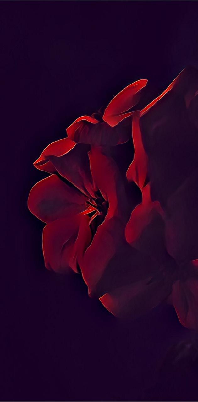 Bloody Flower Wallpapers - Top Free Bloody Flower Backgrounds ...