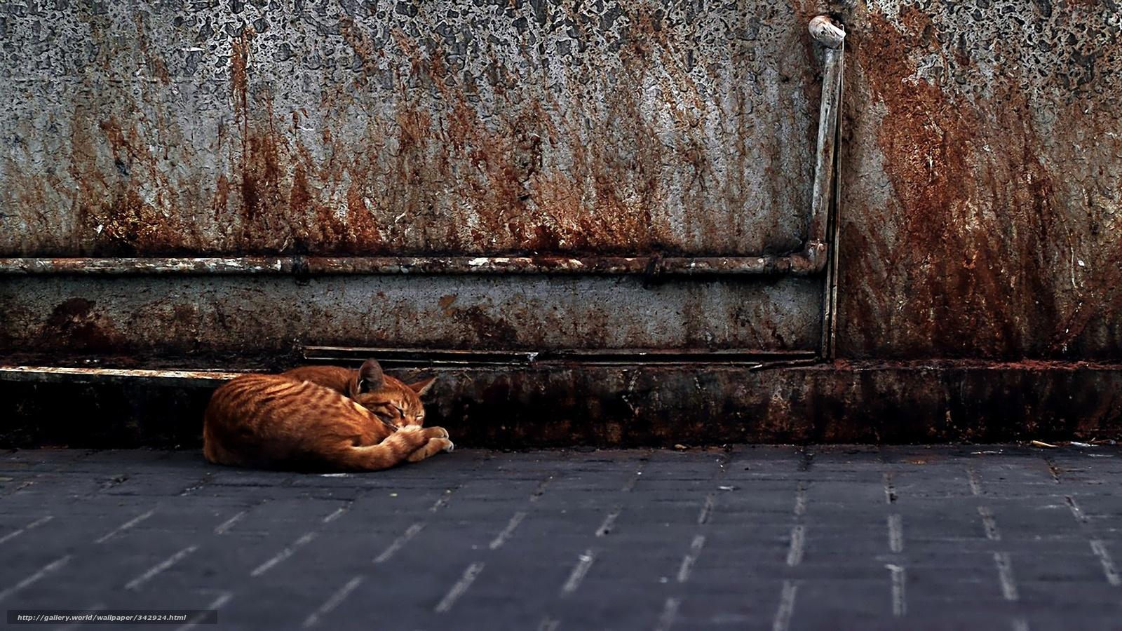 Homeless Wallpapers - Top Free Homeless Backgrounds - WallpaperAccess