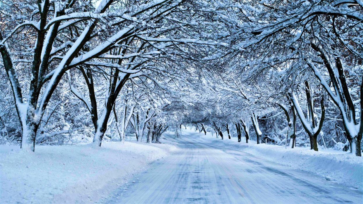 White Snow Tree Wallpapers - Top Free White Snow Tree Backgrounds ...