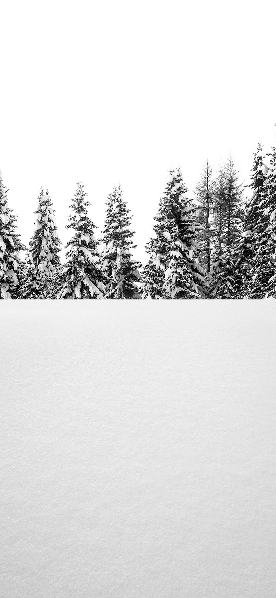 White Snow Tree Wallpapers - Top Free White Snow Tree Backgrounds ...