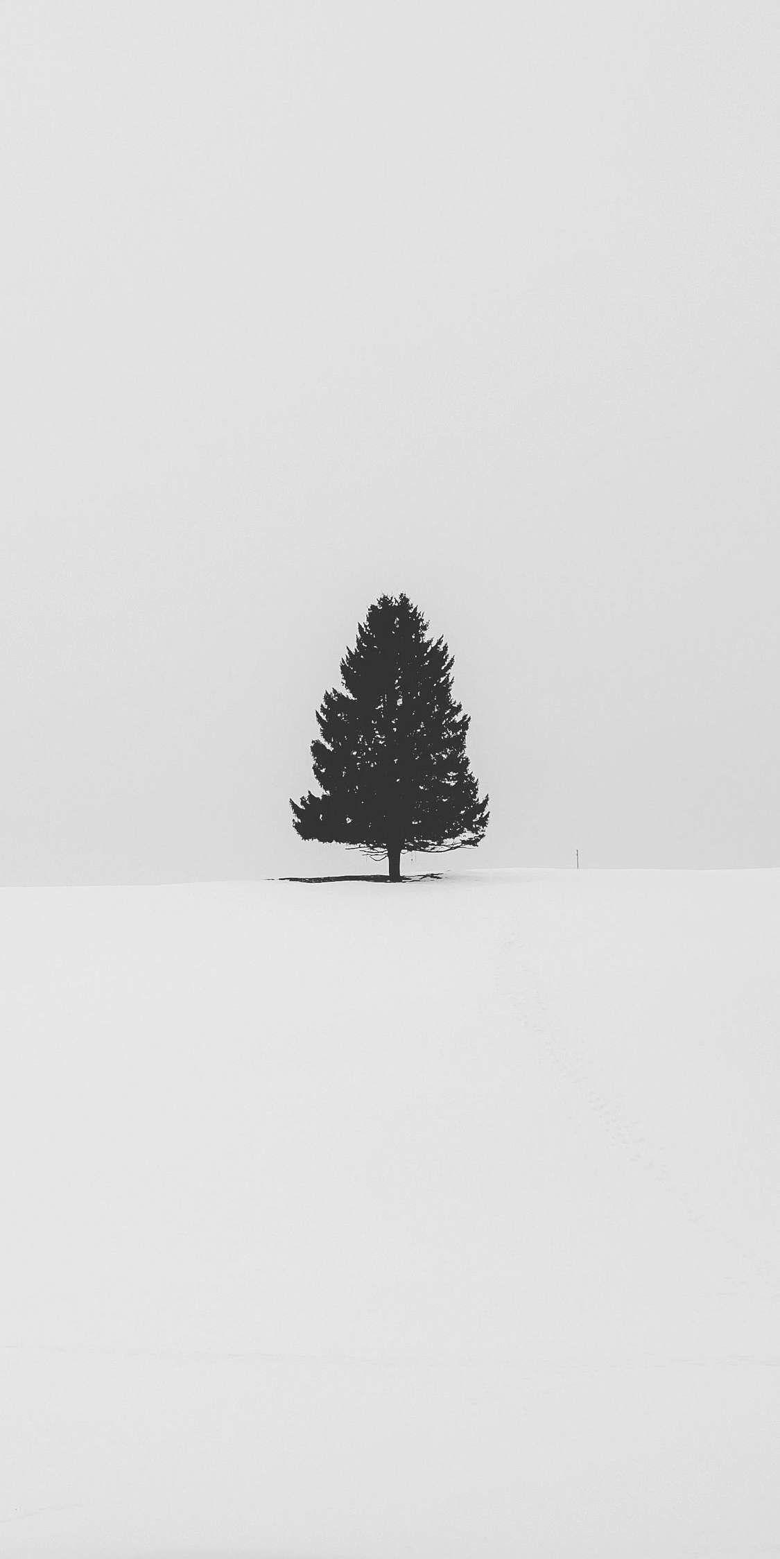 Simple Snow Wallpapers - Top Free Simple Snow Backgrounds - WallpaperAccess
