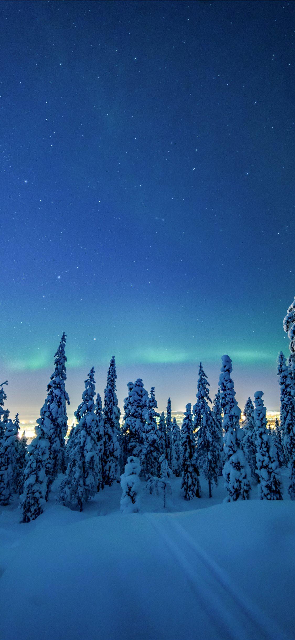 White Snow Tree Wallpapers - Top Free White Snow Tree Backgrounds ...