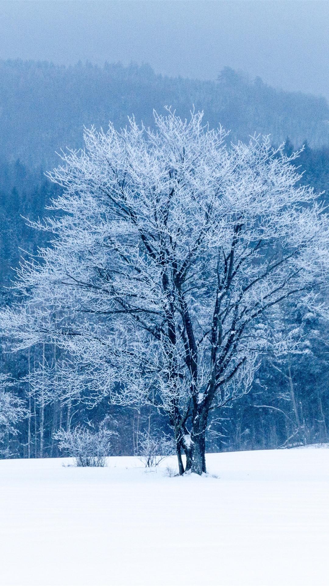 Neige Wallpapers - Top Free Neige Backgrounds - WallpaperAccess