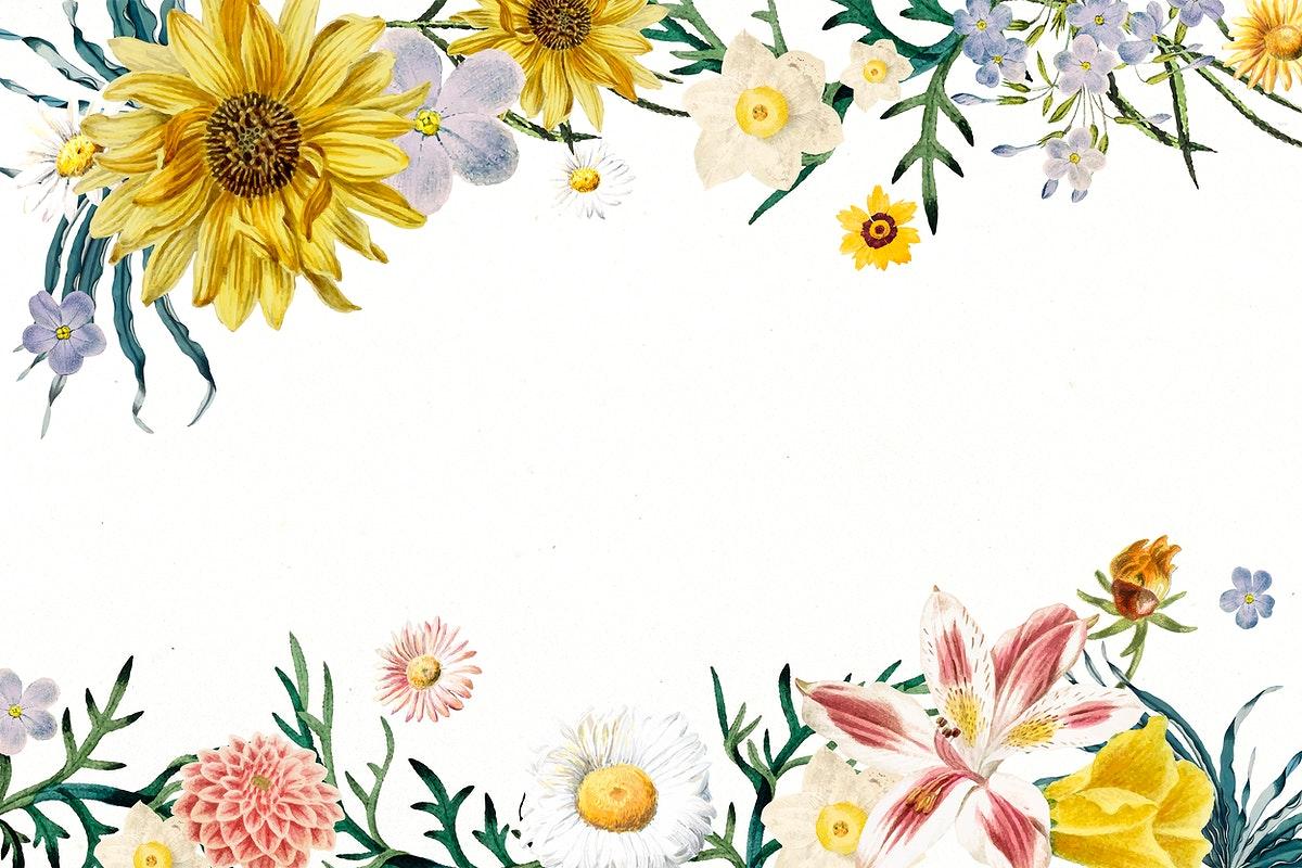 Floral Border Wallpapers - Top Free Floral Border Backgrounds ...