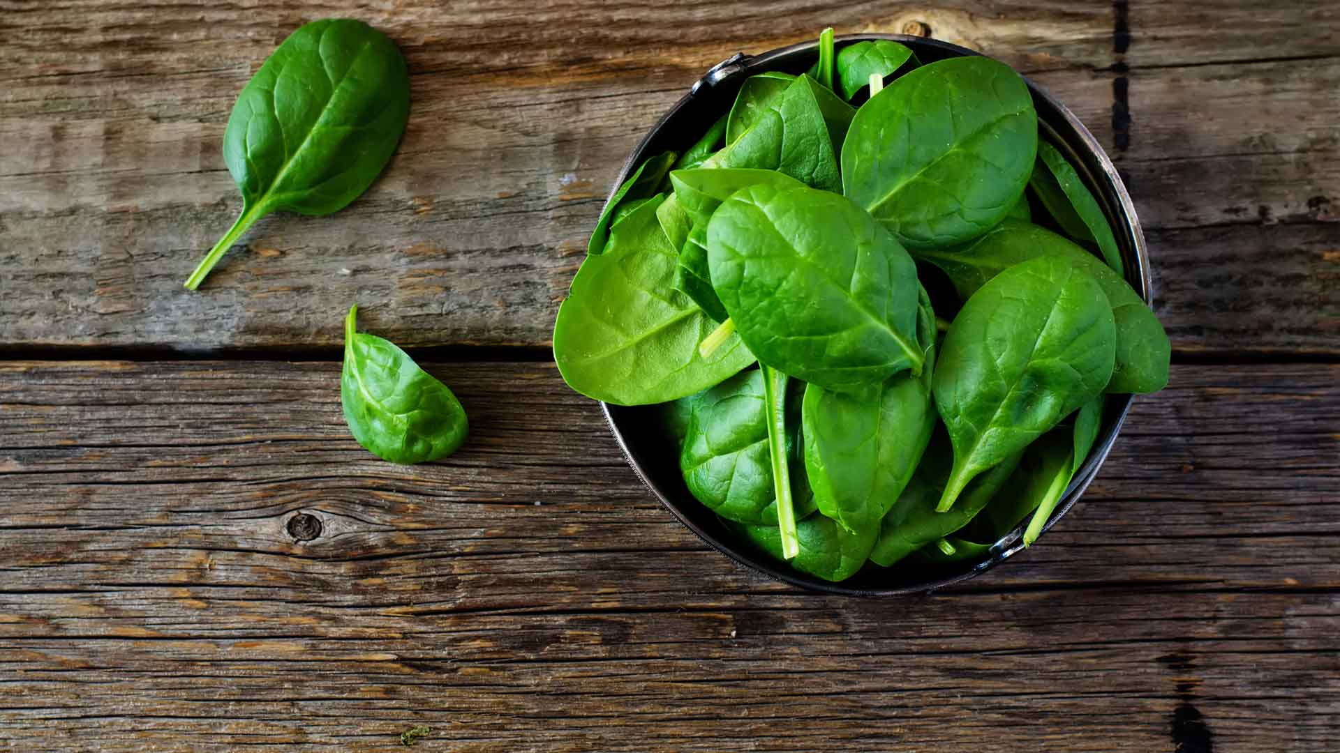 Spinach Wallpapers - Top Free Spinach Backgrounds - WallpaperAccess