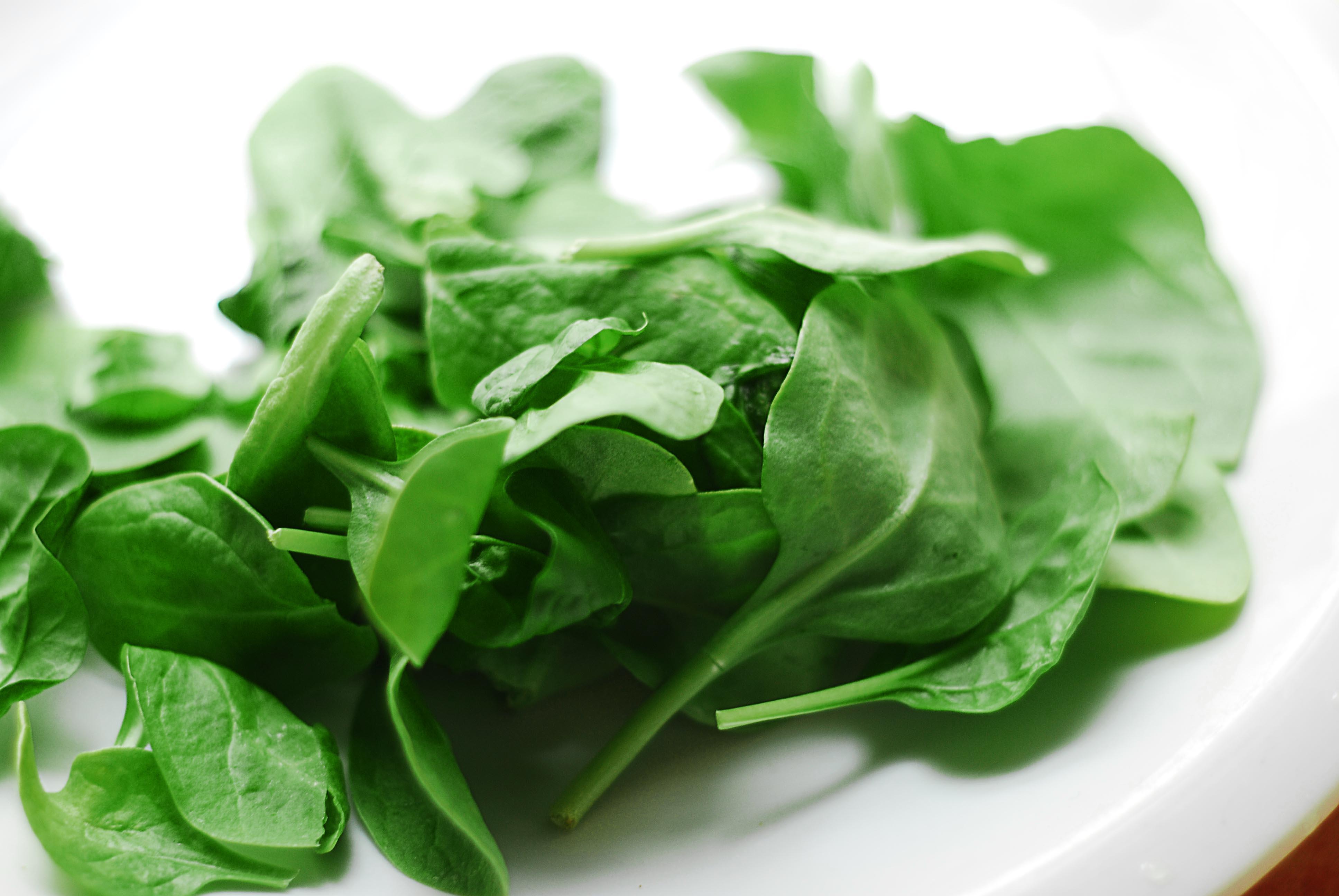 Spinach Wallpapers - Top Free Spinach Backgrounds - WallpaperAccess