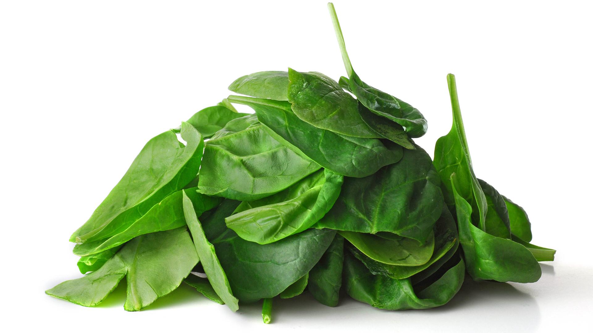 Spinach Wallpapers - Top Free Spinach Backgrounds - WallpaperAccess