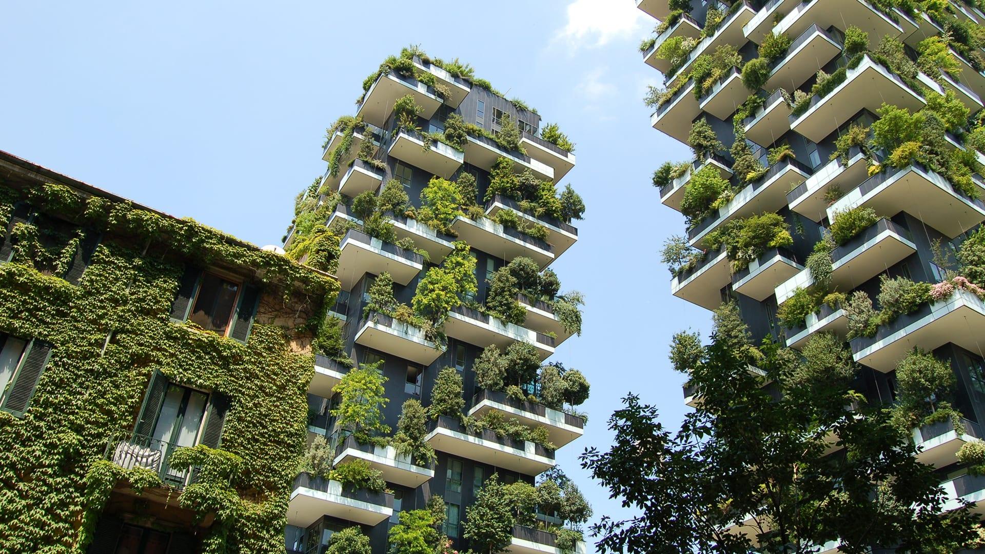 Green Buildings Wallpapers - Top Free Green Buildings Backgrounds ...