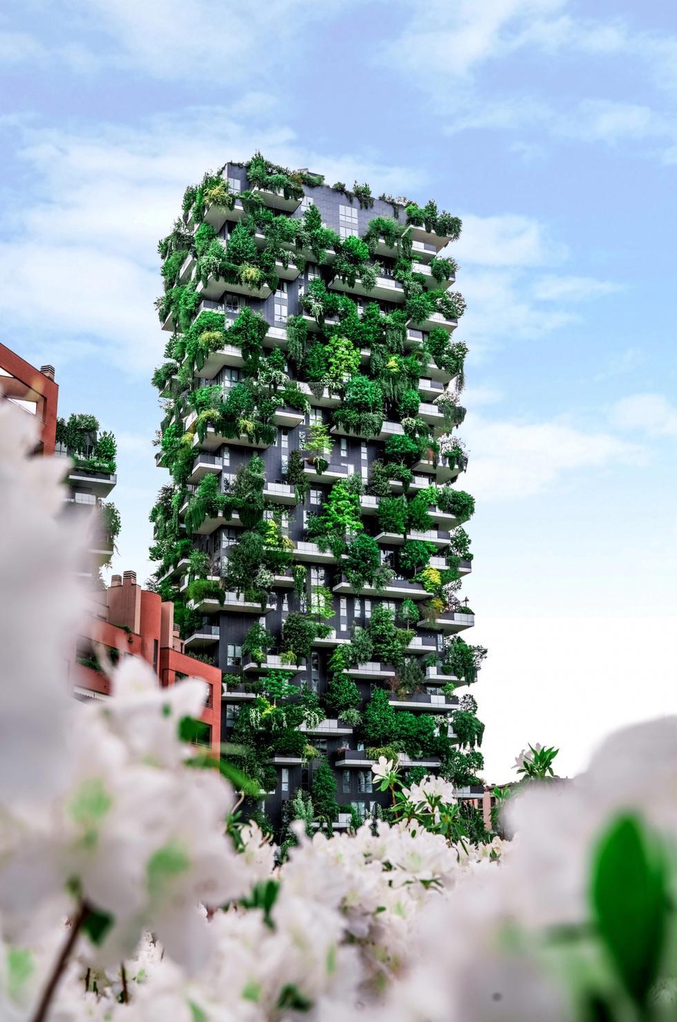 Green Buildings Wallpapers - Top Free Green Buildings Backgrounds ...