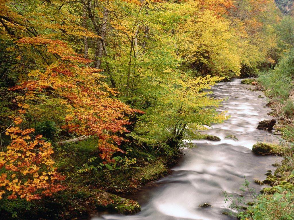 Autumn Mountain Stream Wallpapers - Top Free Autumn Mountain Stream ...