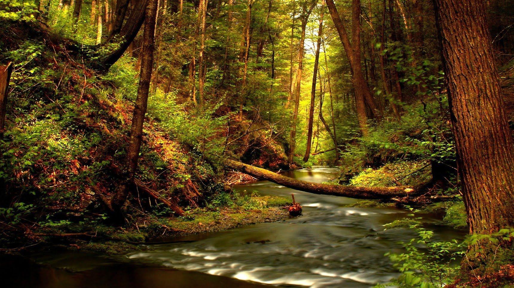 Autumn Mountain Stream Wallpapers - Top Free Autumn Mountain Stream ...