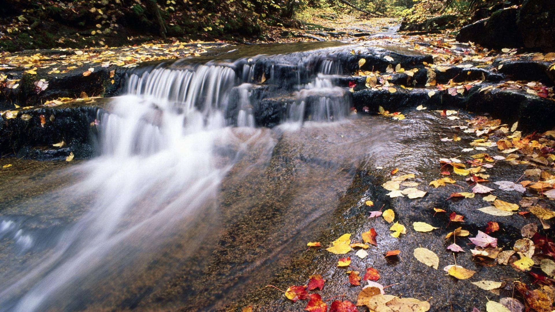 Autumn Mountain Stream Wallpapers - Top Free Autumn Mountain Stream ...