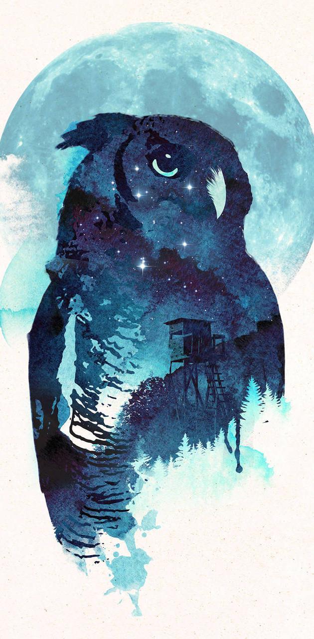 Midnight Owl Wallpapers - Top Free Midnight Owl Backgrounds ...