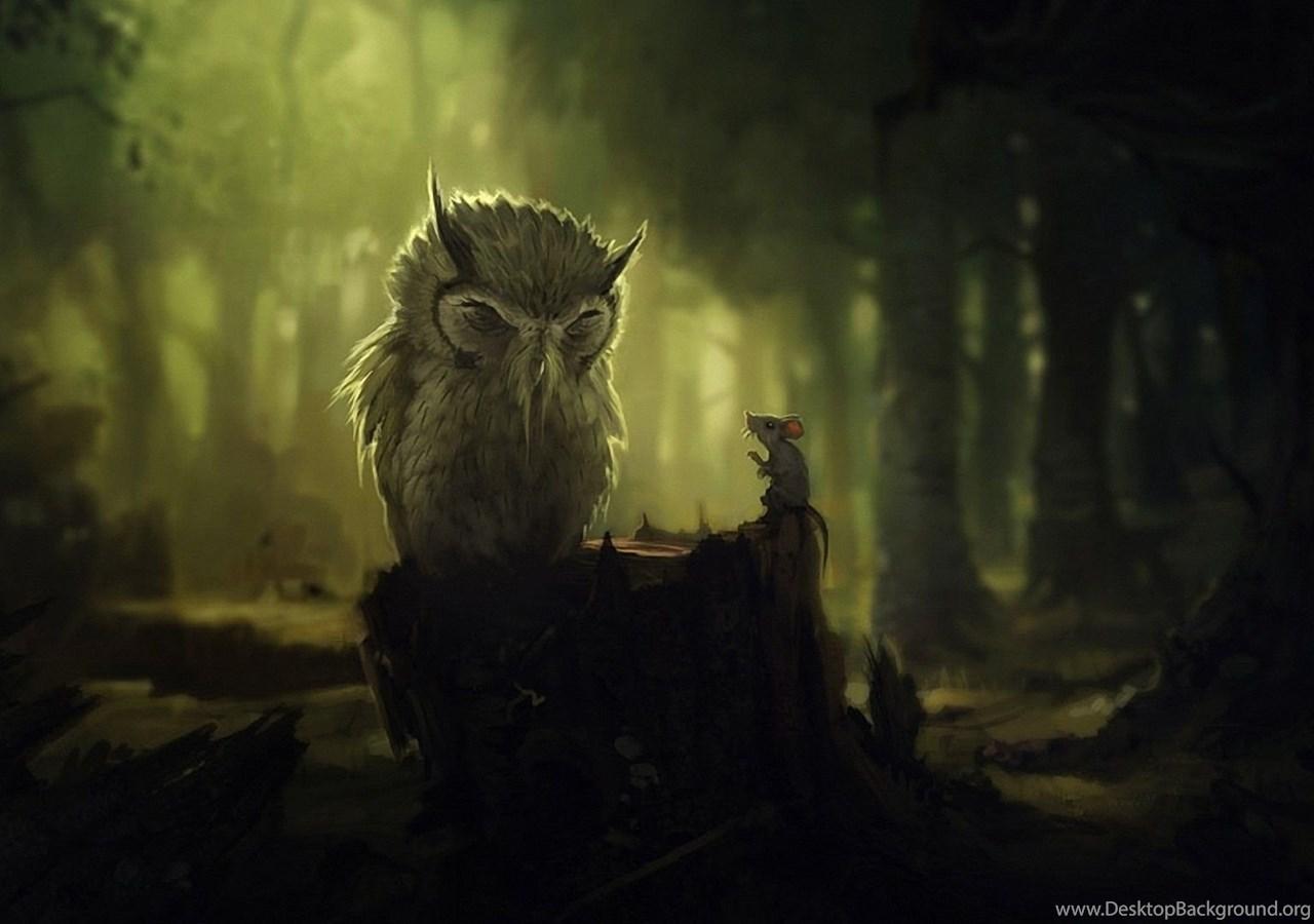 Midnight Owl Wallpapers - Top Free Midnight Owl Backgrounds ...