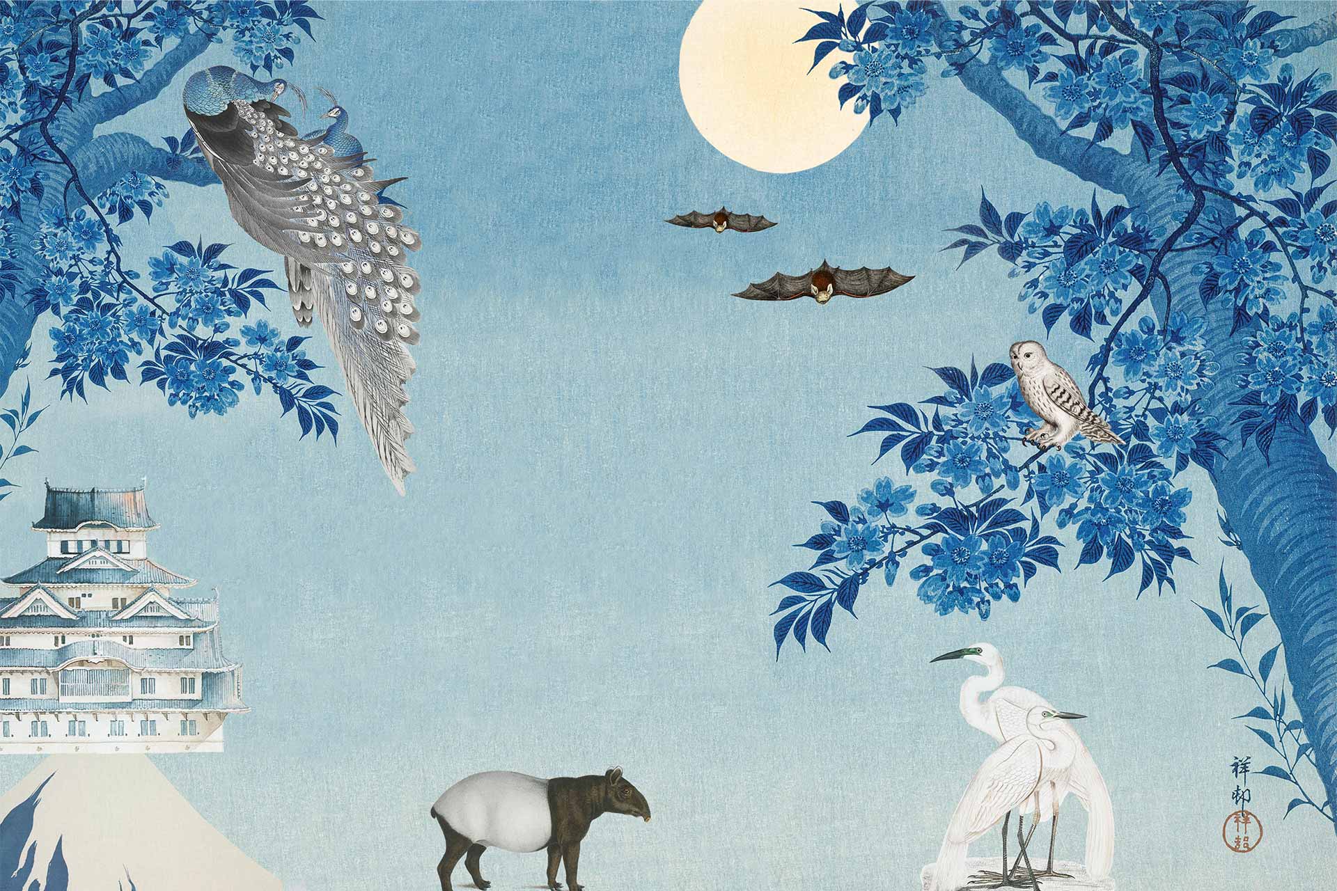 Midnight Owl Wallpapers - Top Free Midnight Owl Backgrounds ...