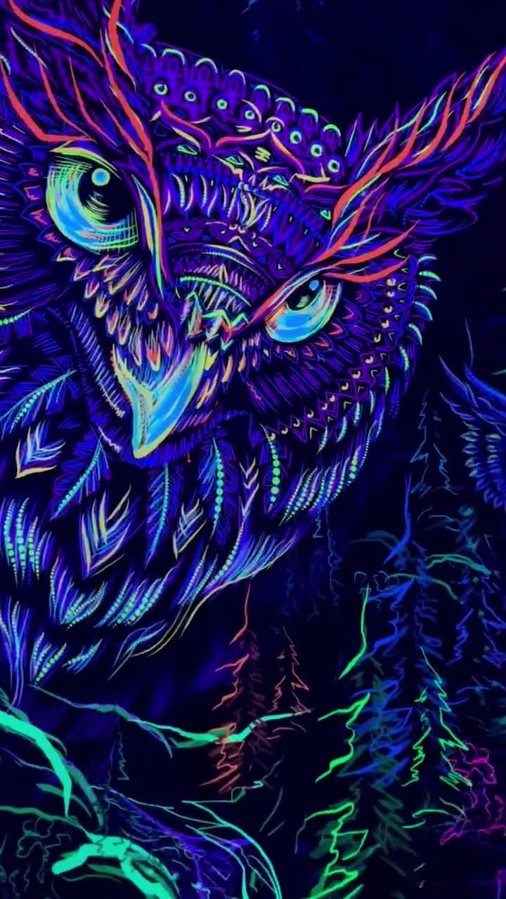 Midnight Owl Wallpapers - Top Free Midnight Owl Backgrounds ...