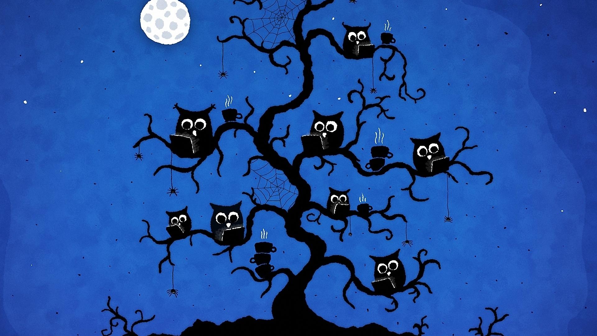 Midnight Owl Wallpapers - Top Free Midnight Owl Backgrounds ...