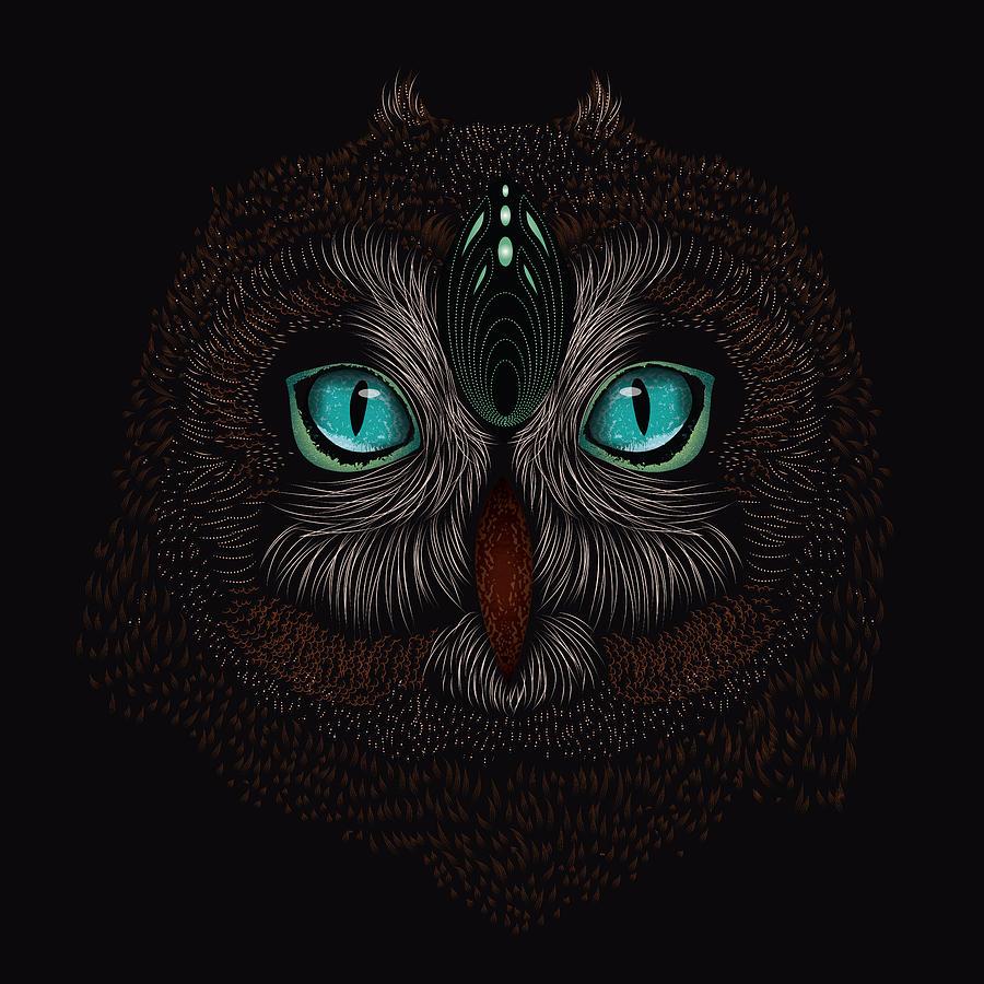 Midnight Owl Wallpapers - Top Free Midnight Owl Backgrounds ...