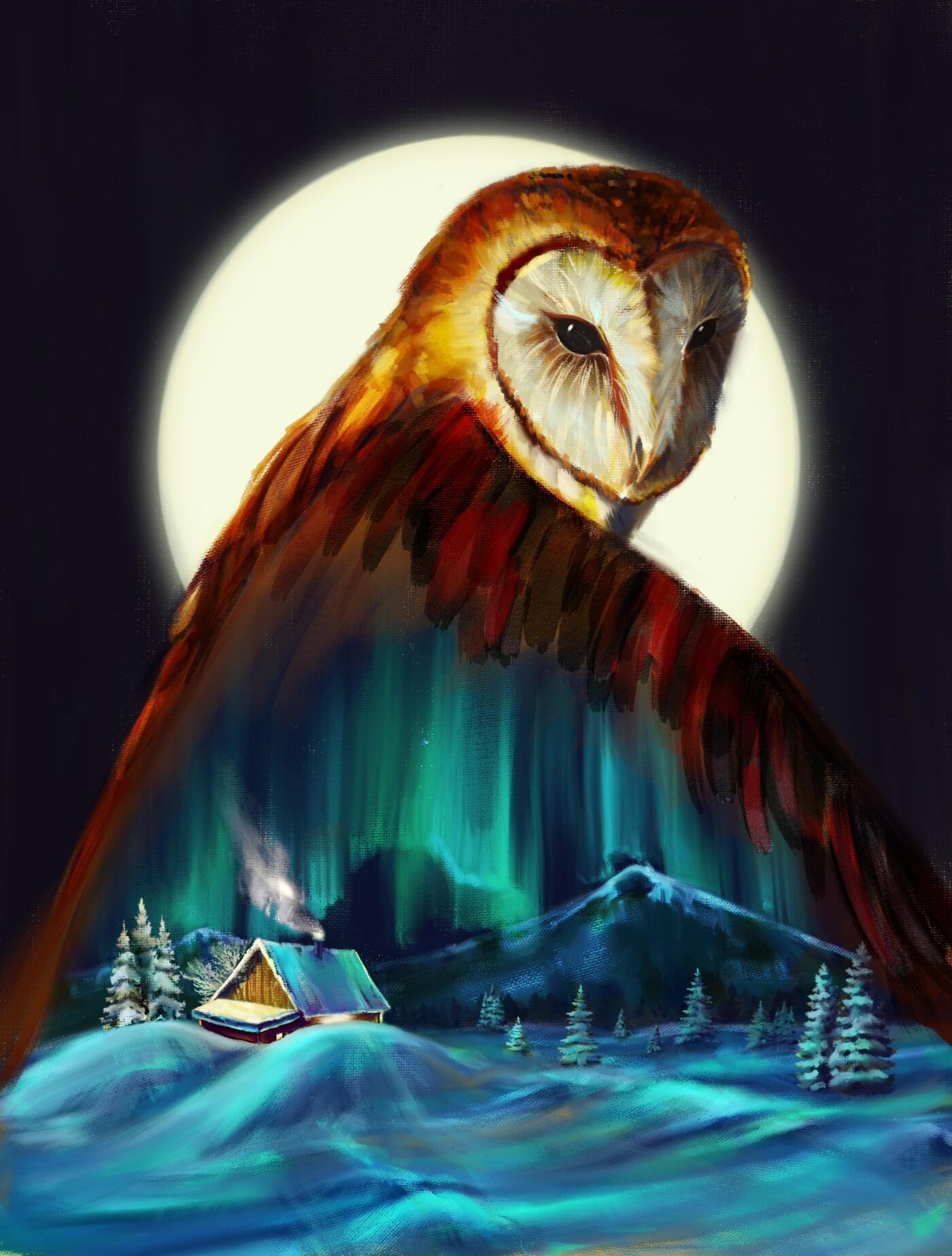 Midnight Owl Wallpapers - Top Free Midnight Owl Backgrounds ...