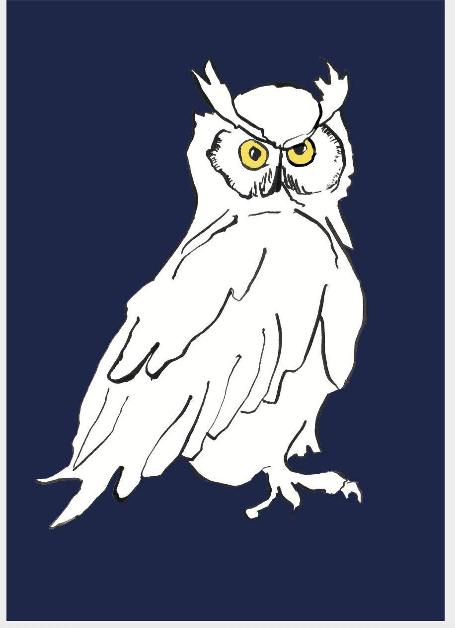 Midnight Owl Wallpapers - Top Free Midnight Owl Backgrounds ...
