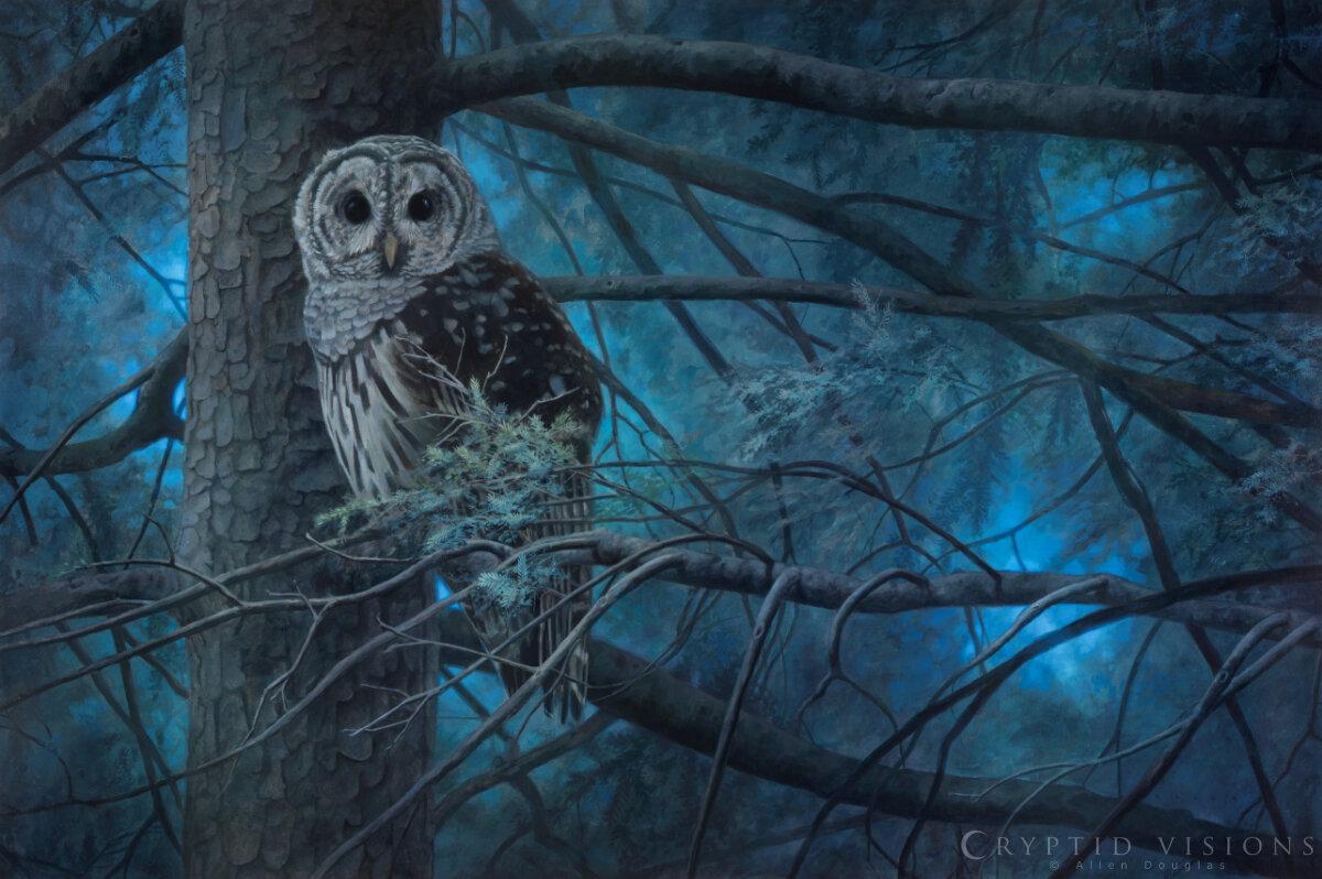 Midnight Owl Wallpapers - Top Free Midnight Owl Backgrounds ...