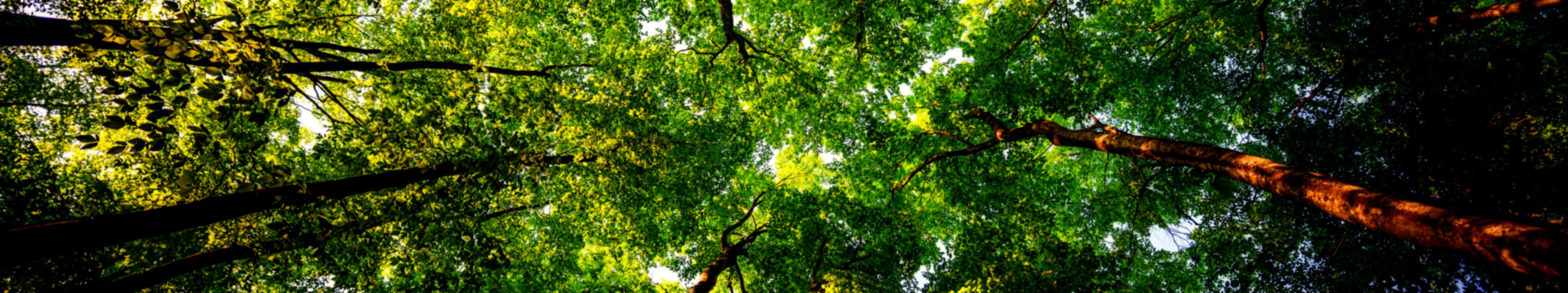 Three Screen Wallpapers - Top Free Three Screen Backgrounds ...