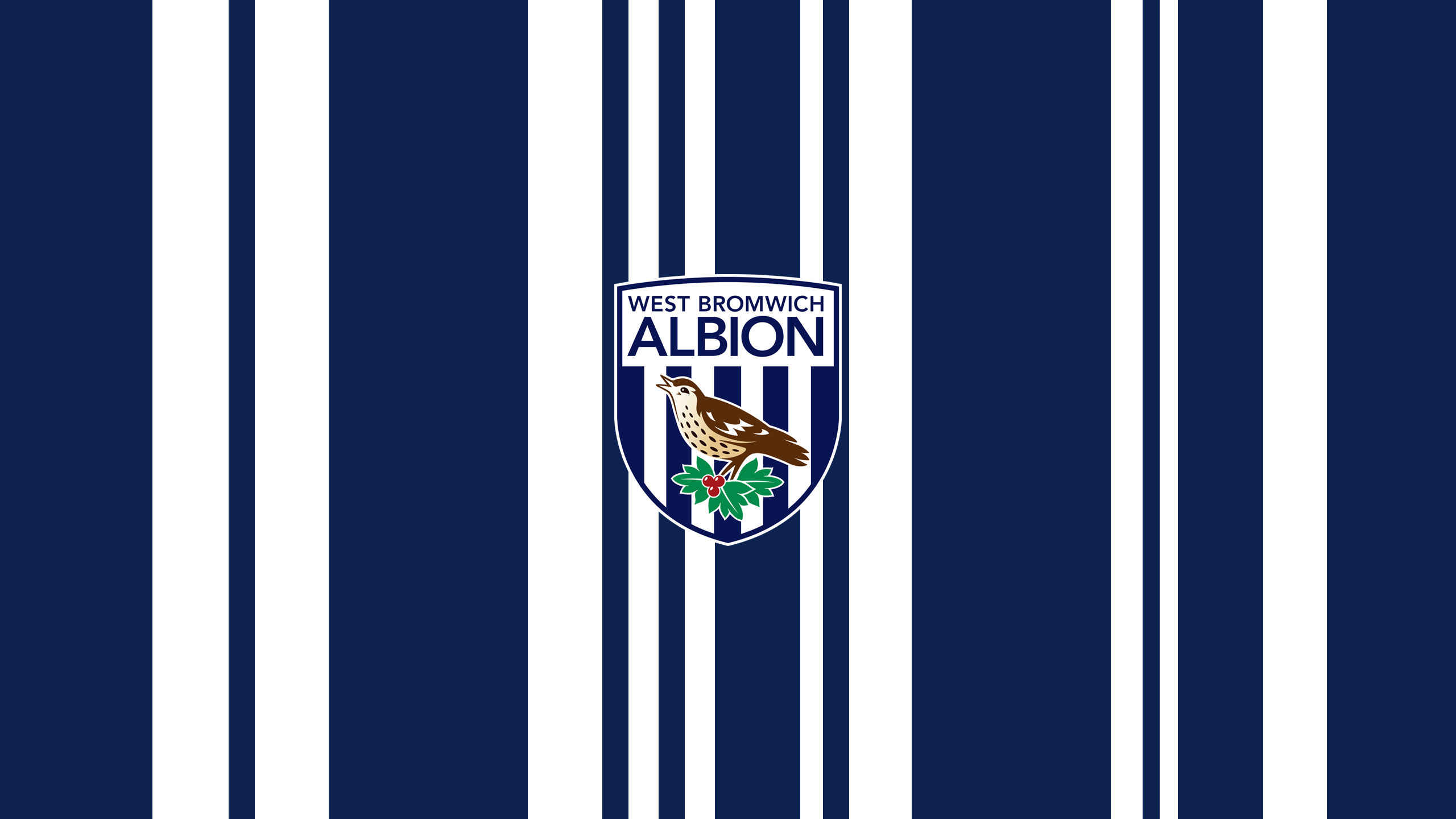 West Bromwich Albion Wallpapers - Top Free West Bromwich Albion ...