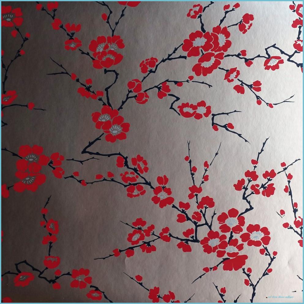 Red Cherry Blossom Wallpapers - Top Free Red Cherry Blossom Backgrounds ...