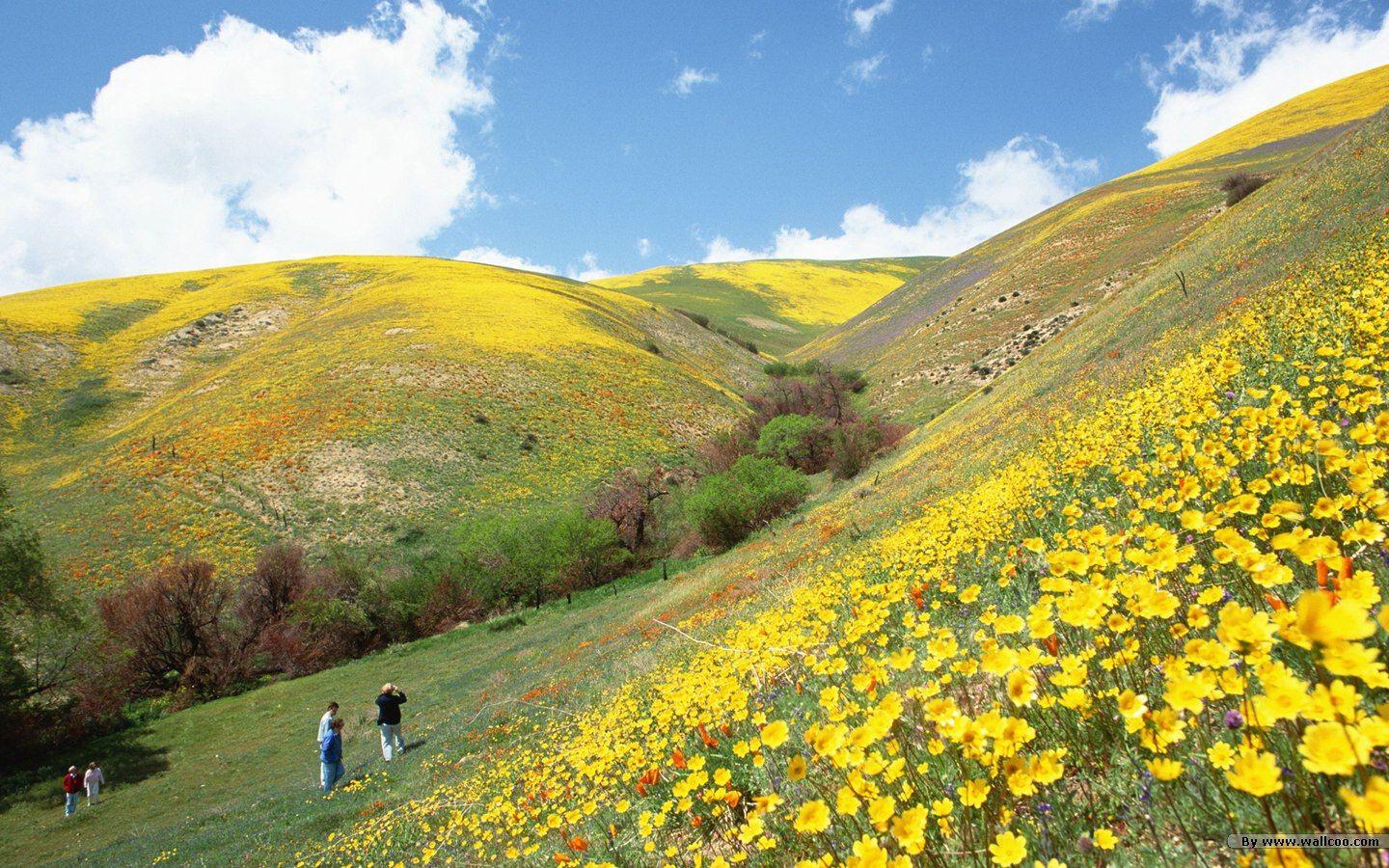 Cute Outdoor Wallpapers - Top Free Cute Outdoor Backgrounds ...