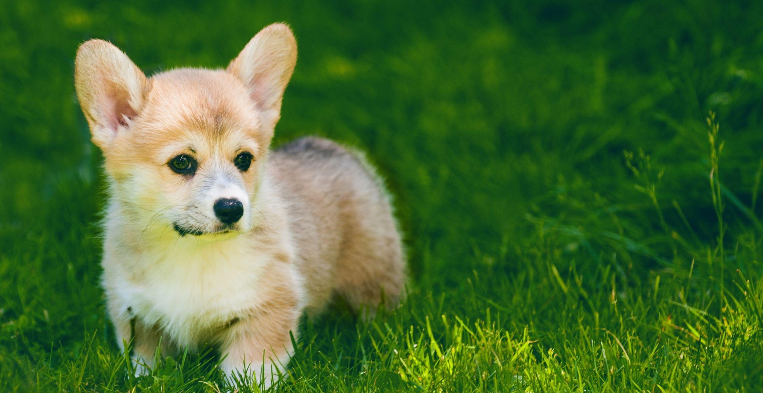 Cute Outdoor Wallpapers Top Free Cute Outdoor Backgrounds Wallpaperaccess