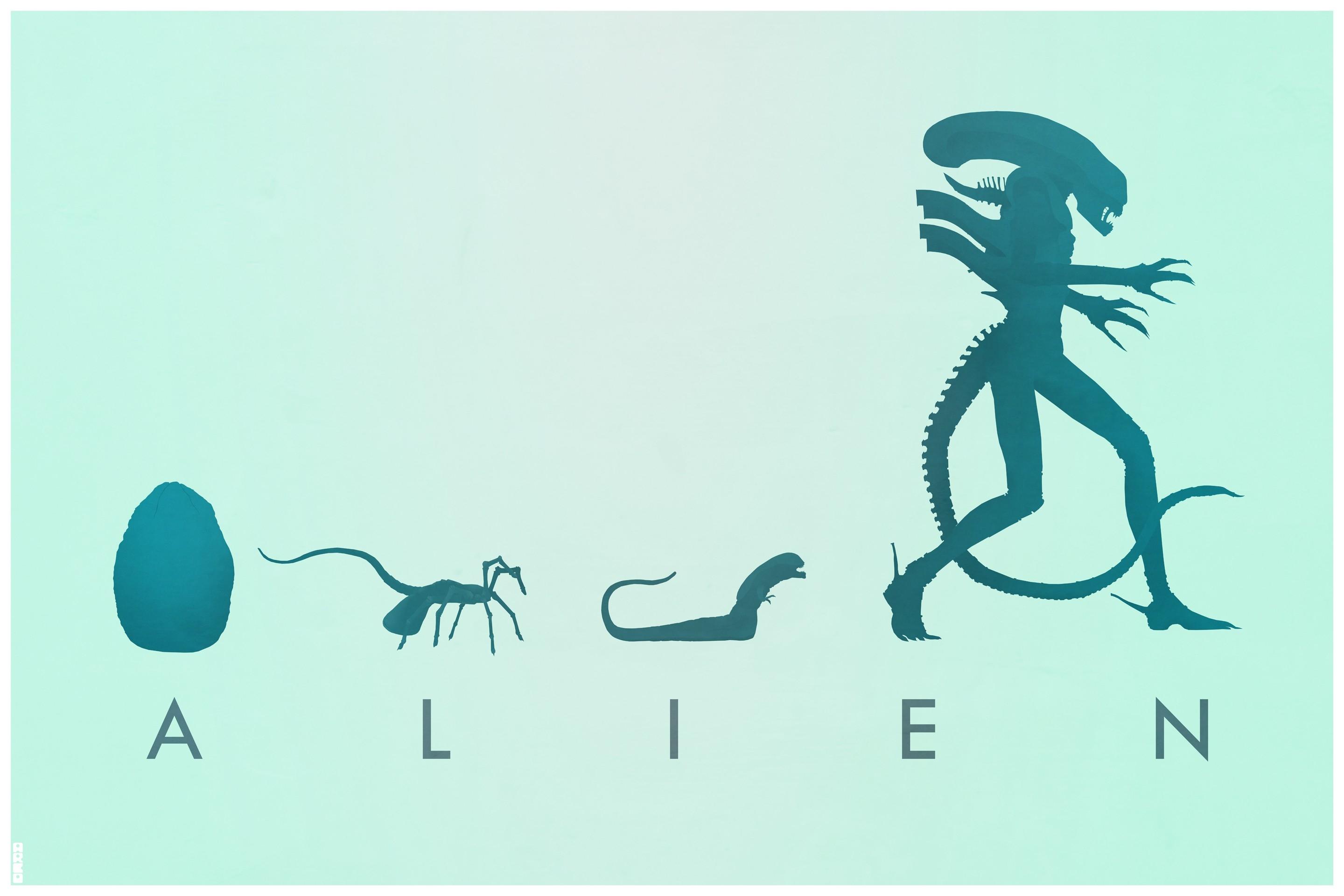 Life Cycle Wallpapers - Top Free Life Cycle Backgrounds - WallpaperAccess