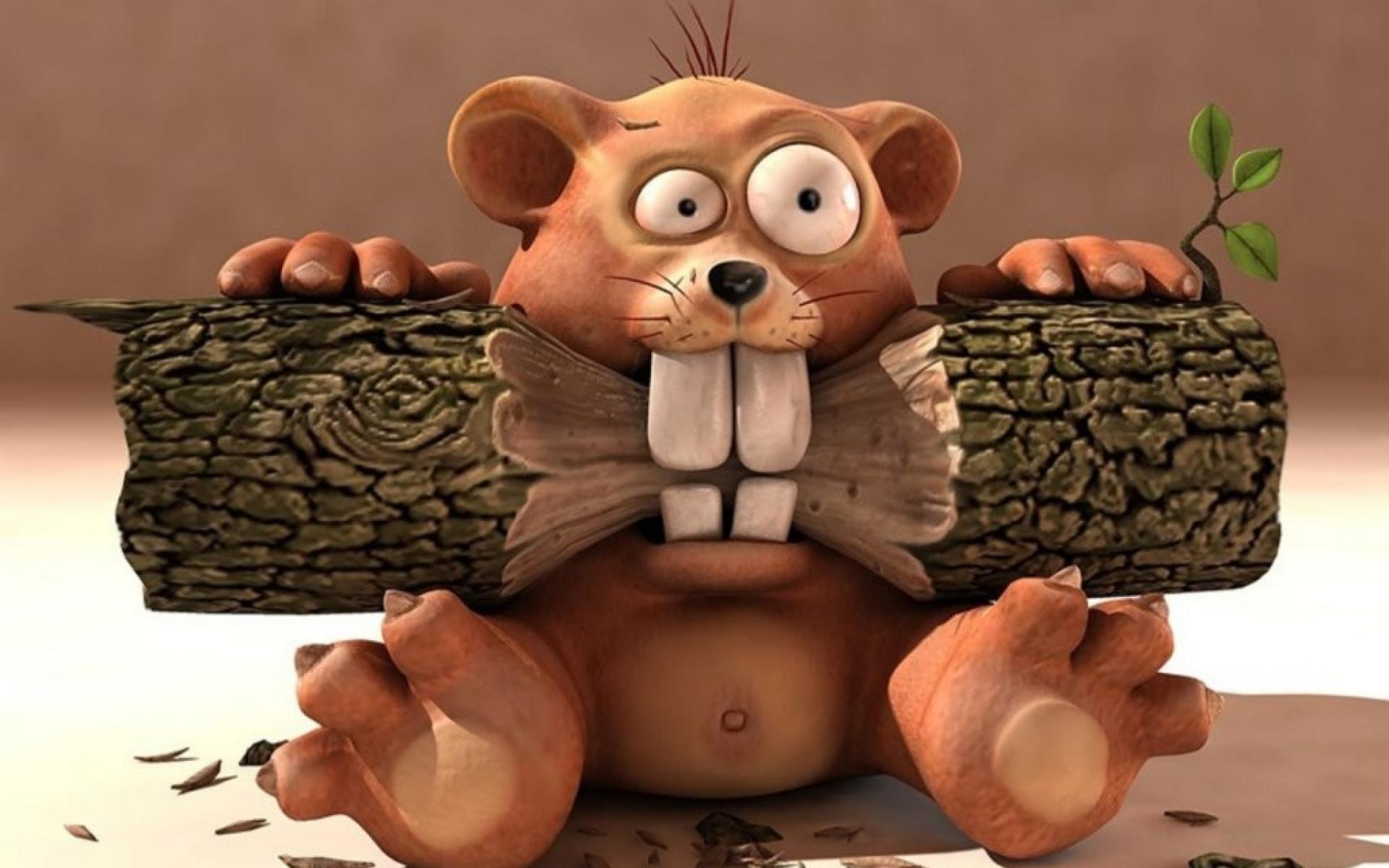 Life Cycle Wallpapers - Top Free Life Cycle Backgrounds - WallpaperAccess