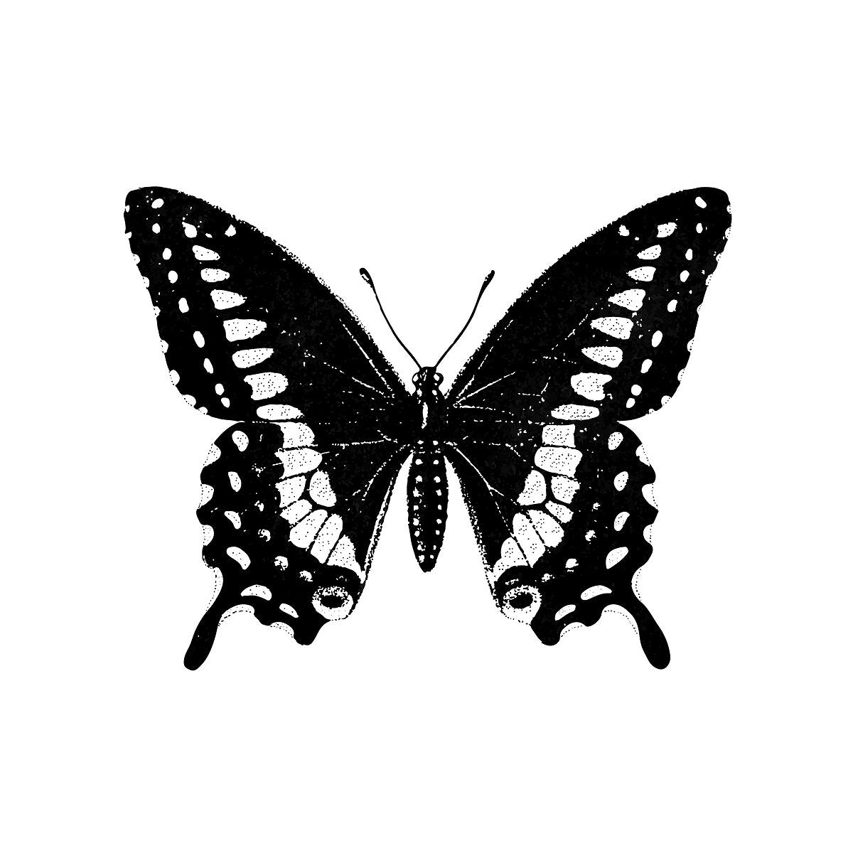 Life Cycle Wallpapers - Top Free Life Cycle Backgrounds - WallpaperAccess